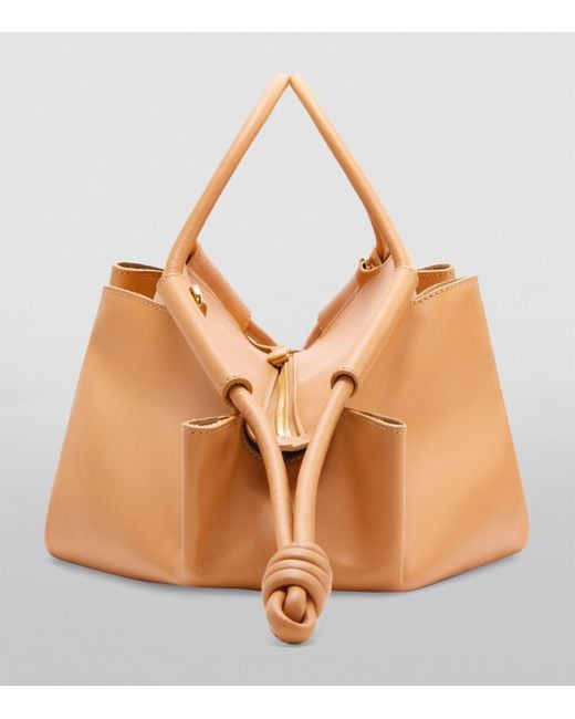 Loewe Medium Leather Paseo Tote Bag in Brown | Lyst