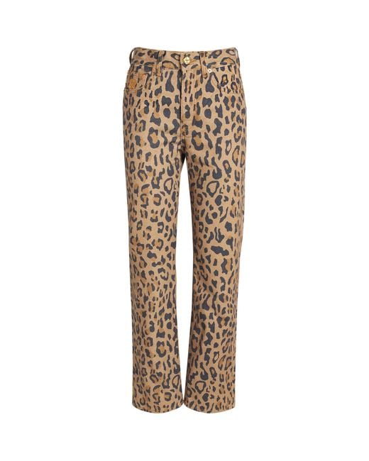 Blazé Milano Simba Leopard Print High-Rise Jeans in Brown | Lyst
