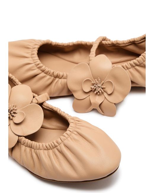 Zimmermann Orchid Leather Ballet Flats in Brown | Lyst