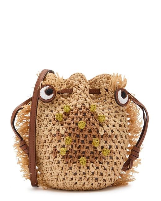 Anya Hindmarch Creature Leather And Raffia Cross-Body Bag in Brown ...