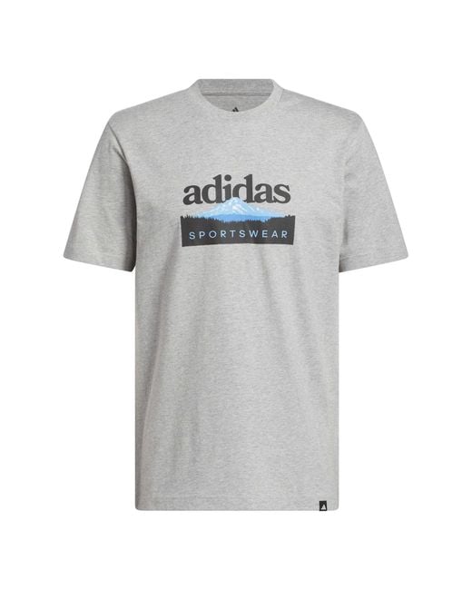 adidas Graphic Logo T-Shirt in Grey for Men | Lyst UK