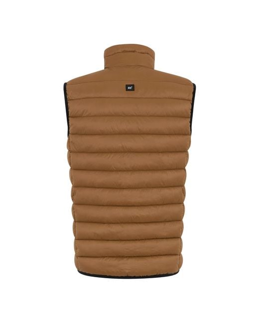 Regatta Marizion Water Resistant Gilet in Black for Men | Lyst UK