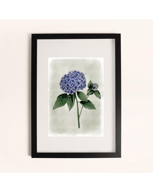 Laura Ashley Hydrangea Flower Print in Black | Lyst UK
