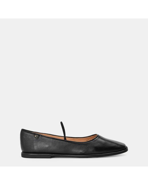 COACH Emiliamaryj Ballet Pumps in Black | Lyst UK