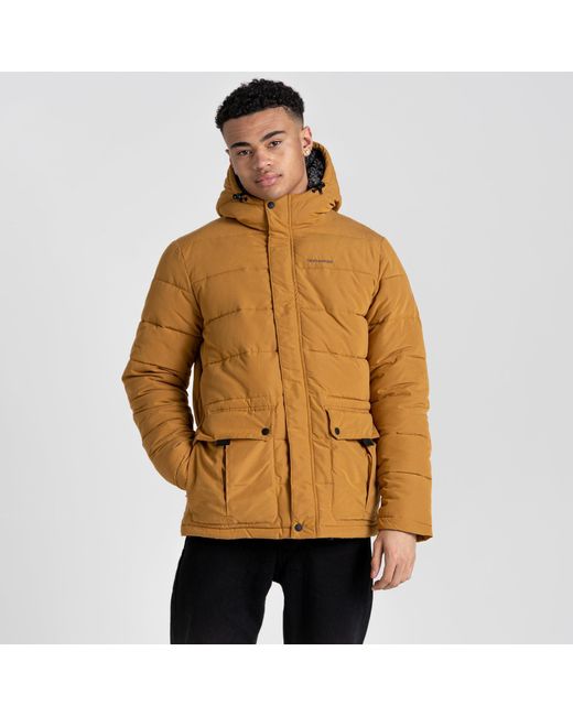 Craghoppers Crag Trillick Insulated Puffer Jacket in Brown for Men ...