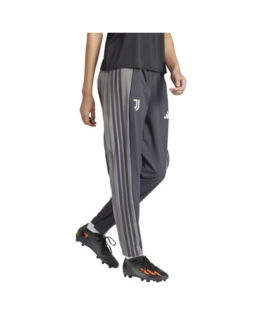 adidas Licensed Tracksuit Bottoms in Grey | Lyst UK