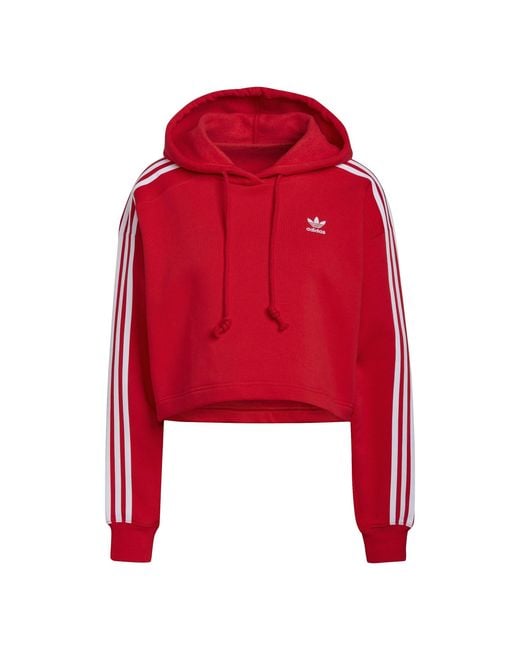 adidas Originals Adicolor Classic Crop Hoodie in Red | Lyst UK