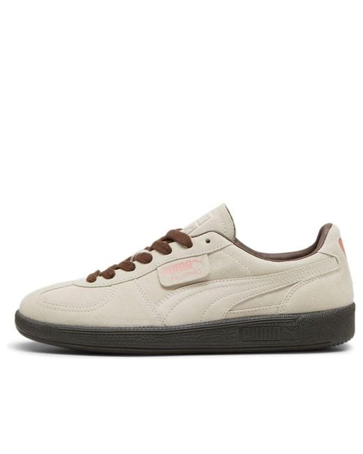PUMA (Wmns) Palermo 'Alpine Snow' in Brown | Lyst