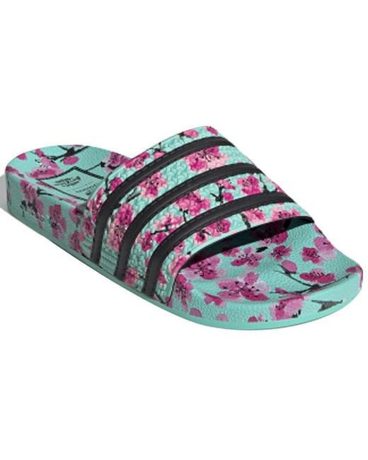 adidas Arizona X Adilette Tea With Ginseng And Honey' in Blue for Men ...