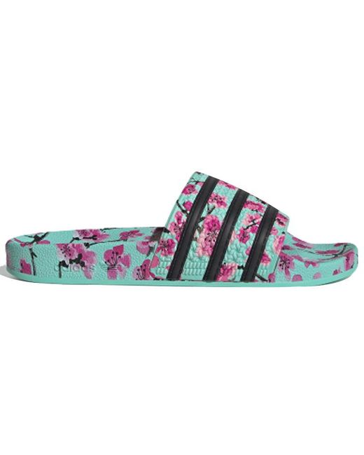 adidas Arizona X Adilette Tea With Ginseng And Honey' in Blue for Men ...