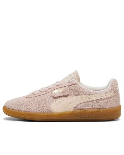PUMA Palermo Hairy 'Rose Quartz' in White for Men | Lyst