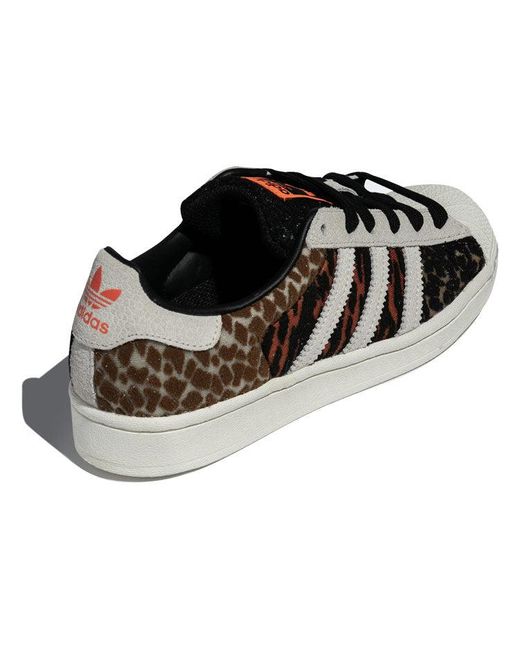 adidas Atmos X Superstar 'Crazy Animal' in Black for Men | Lyst