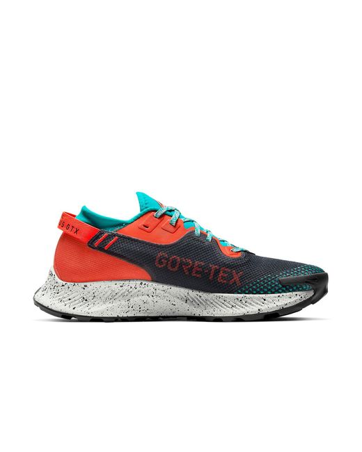 Nike Pegasus Trail 2 Gtx