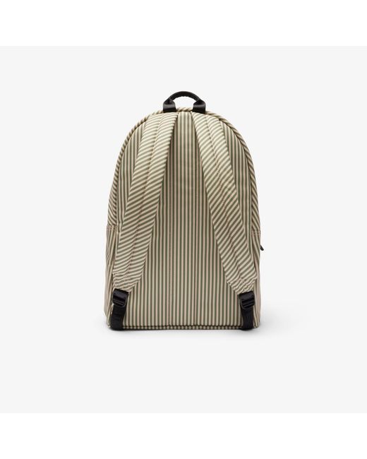Lacoste Neocroc Striped Backpack in Green | Lyst