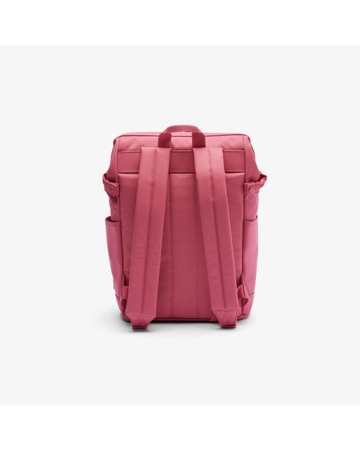 Lacoste Small Neocroc Backpack in Pink | Lyst