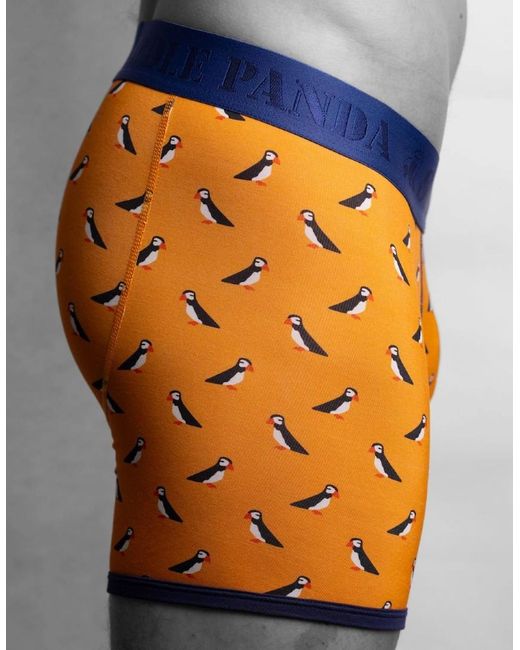 Swole Panda Puffins Bamboo Boxer Brief in Orange for Men | Lyst UK