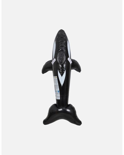 Mountain Warehouse Whale Pool Float | Lyst UK