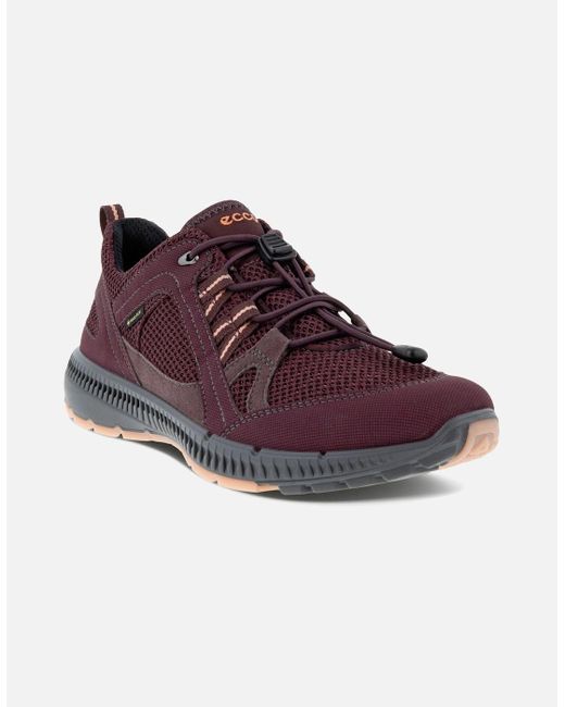 Ecco Terracruise Ii Gore-Tex Walking Trainers in Purple | Lyst UK