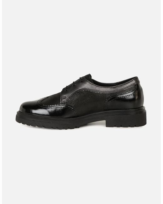 Gabor Fabi Brogues in Black | Lyst UK