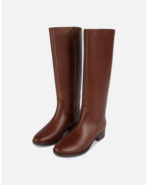 Geox D Felicity Boots in Brown | Lyst UK
