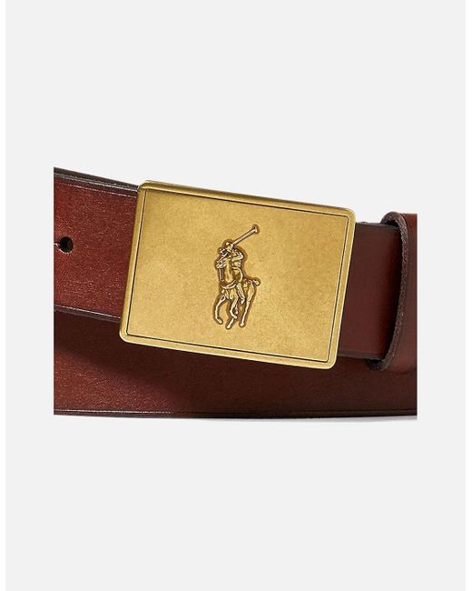 Polo Ralph Lauren Ralph Lauren Pony Plaque Leather Belt in White for ...