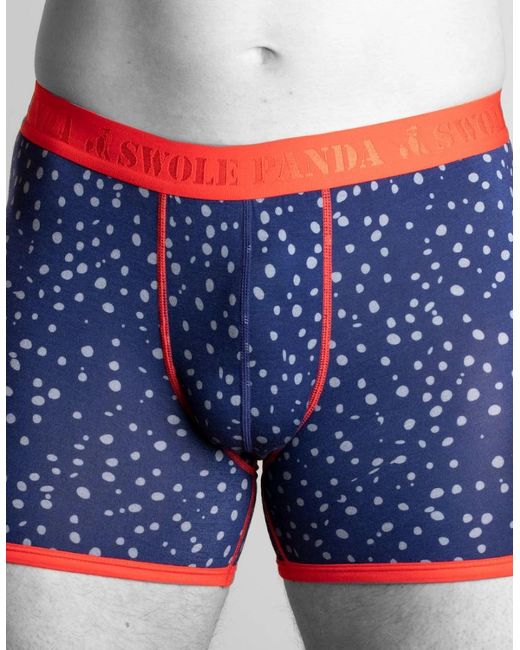 Swole Panda Spots Bamboo Boxer Brief in Blue | Lyst UK