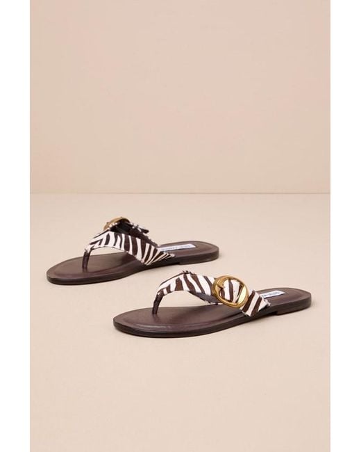 Steve Madden Rays-Z Zebra Leather Buckle Flat Thong Sandals in Yellow ...