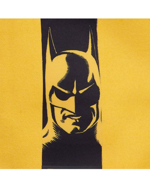 FREEZE MAX Batman Comics I Am The Night Full-zip Varsity Jacket in ...