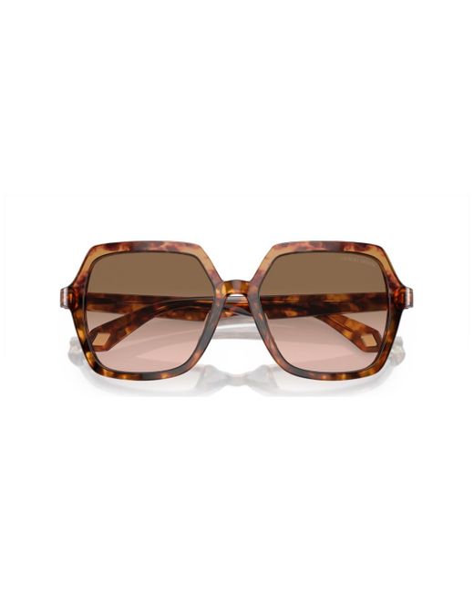 Giorgio Armani Sunglasses In Brown Lyst