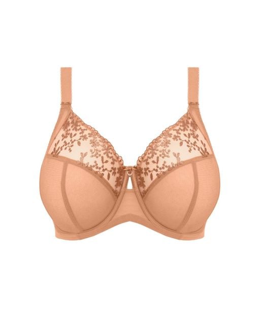 Elomi Zarla Banded Underwire Stretch Lace Bra in Brown | Lyst