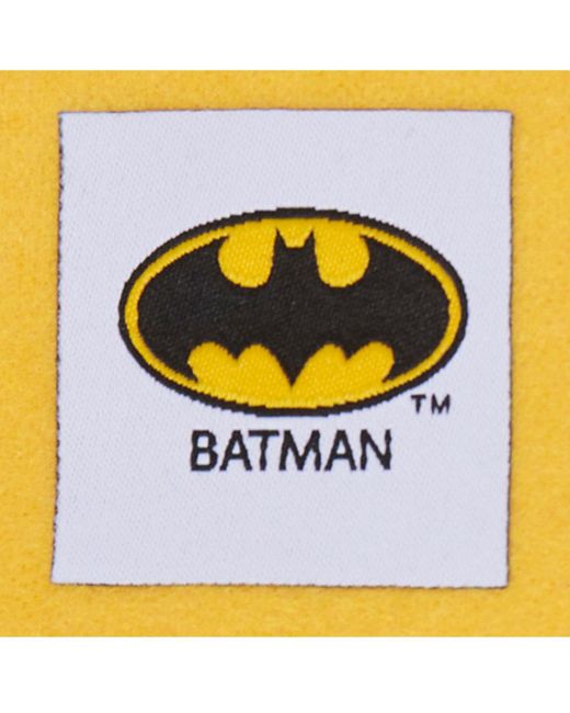 FREEZE MAX Batman Comics I Am The Night Full-zip Varsity Jacket in ...