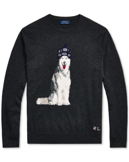 Polo Ralph Lauren Dog