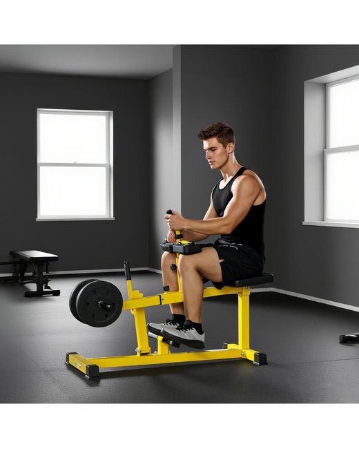 Soozier Adjustable Seated Calf Raise Machine Leg Press Machine Strength ...