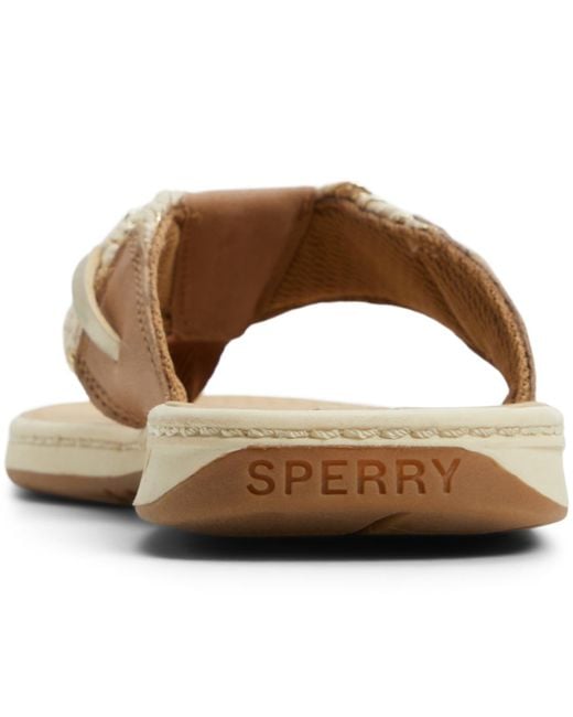 Sperry Top-Sider Parrotfish Slip-on Flat Sandals in Brown | Lyst