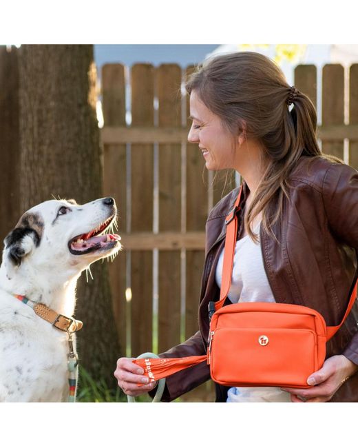 Puppington 3-in-1 Crossbody Dog Walk Bag in Orange | Lyst