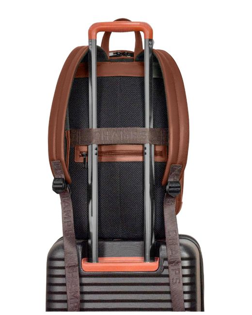 CHAMPS Onyx Collection Classic Backpack in Brown | Lyst