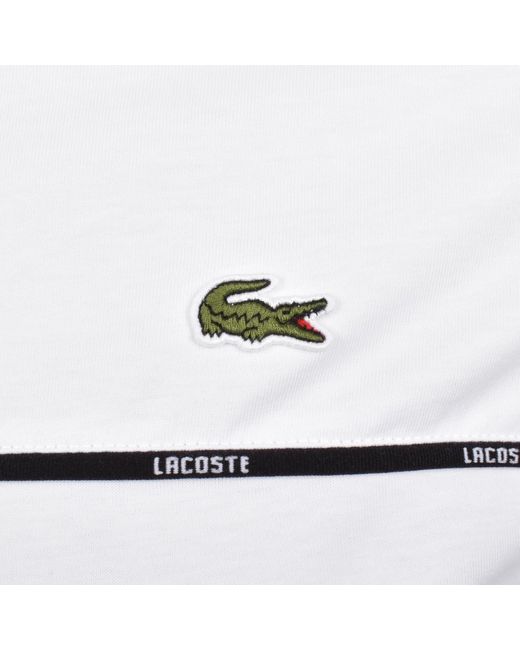 Lacoste Piped Logo T Shirt in White for Men | Lyst