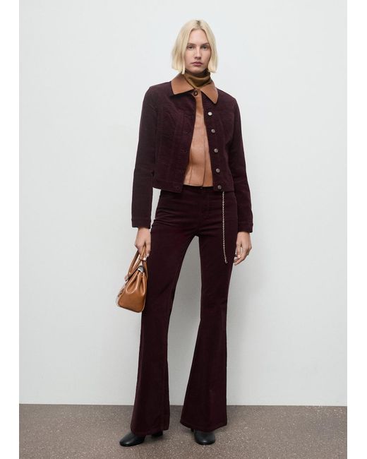 Mango Velvet Bomber Jacket With Stitching | Lyst UK