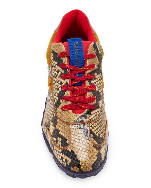 Wales Bonner Snake-effect Leather Sneakers in Brown | Lyst