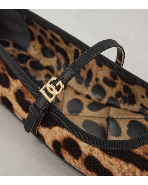 Dolce & Gabbana Vally Leopard-print Velvet Mary Jane Flats in Brown | Lyst