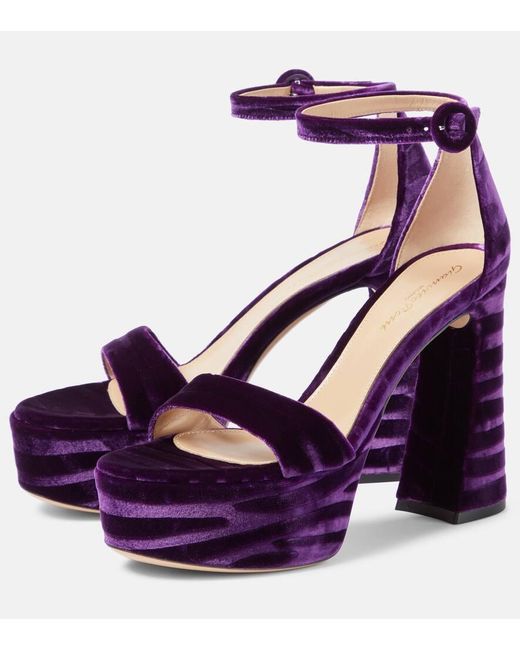 Gianvito Rossi Zebra Velvet Platform Sandals in Purple | Lyst