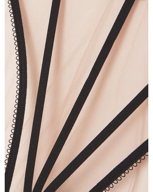 Agent Provocateur Coletta Grosgrain-Trimmed Appliquéd Tulle Briefs in ...
