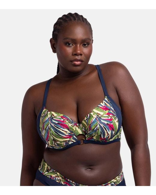 DORINA Plus Size Floral Print Bikini Top Curves New Look Lyst UK