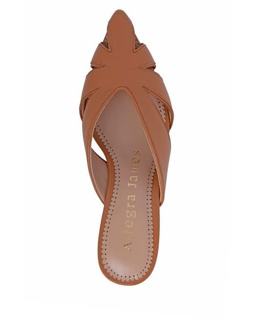 Allegra James Angela Leather Mule in Brown | Lyst
