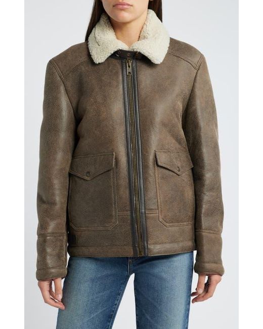 Schott Nyc Genuine Shearling Lined Bomber Jacket in Brown | Lyst