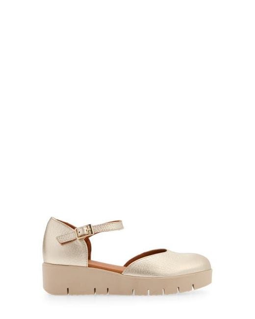 Cordani Sandie Platform D'Orsay Pump in Brown | Lyst