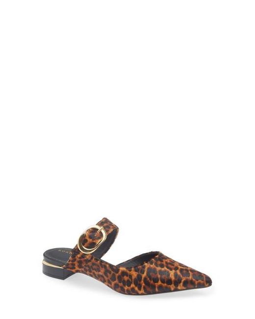 KOKO + PALENKI Sloane Genuine Calf Hair Mule in Brown | Lyst