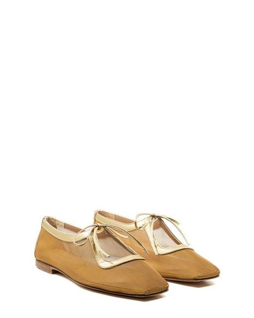 Andrea Gomez Amelia Clear Mesh Ballet Flat in Natural | Lyst