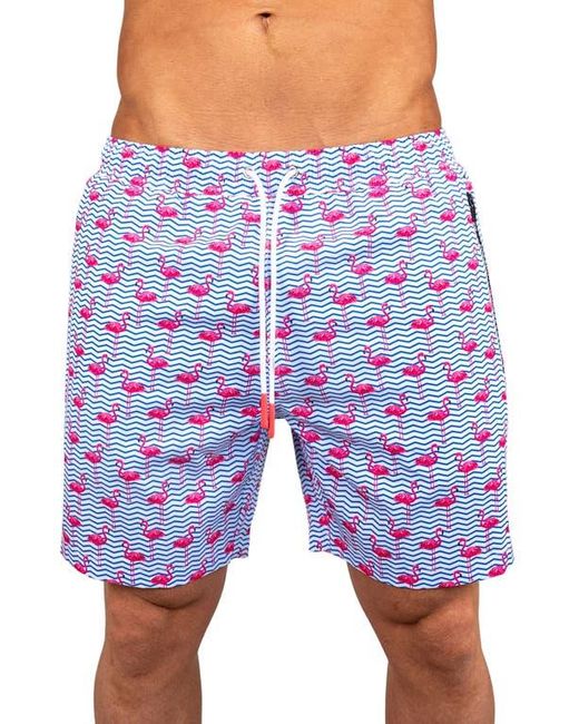Maceoo Swim Lion Flamingo Swim Trunks in Blue for Men | Lyst