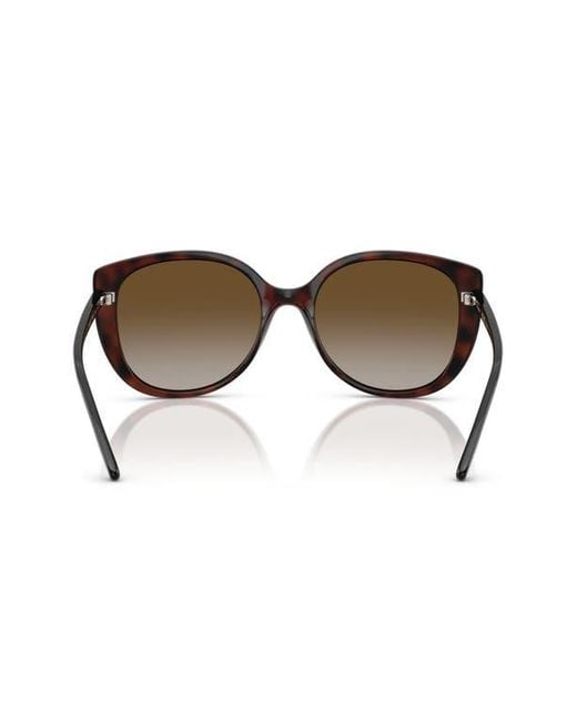 Vogue 55Mm Polarized Gradient Butterfly Sunglasses | Lyst